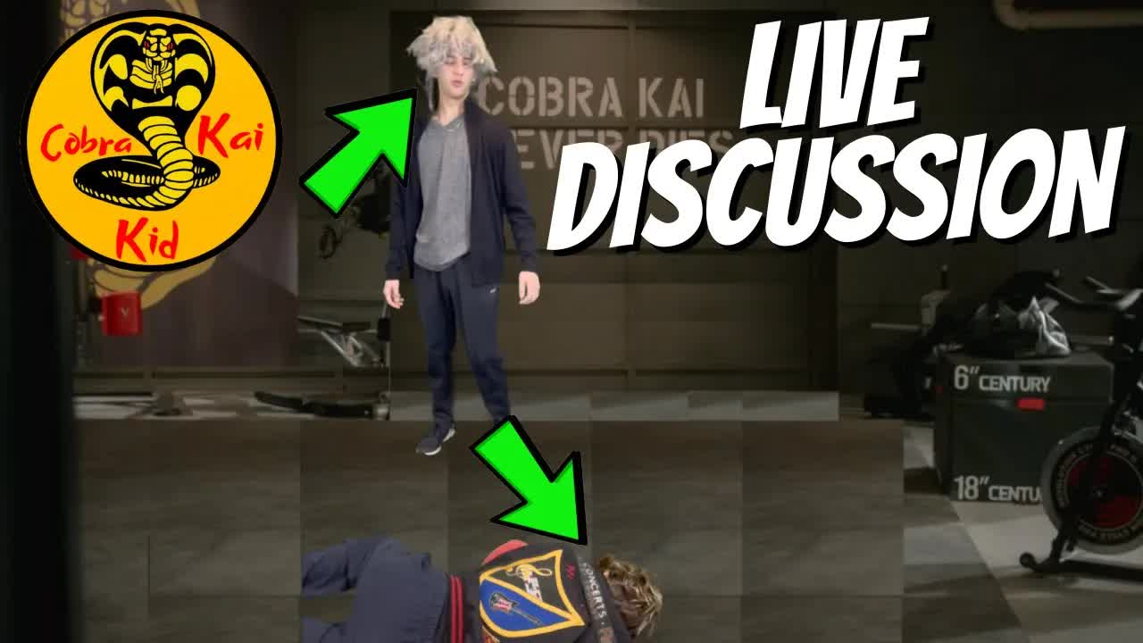 Full discussion + Q&A | Terry Silver beats up Stingray "Cobra Kai re ...