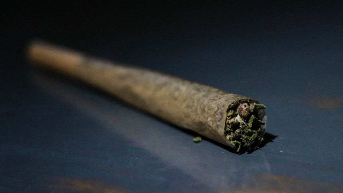Cardiothoracic surgeon rates health dangers of regular marijuana smoking