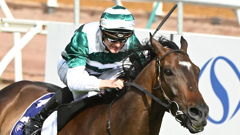 Race-by-race preview and tips for Warwick Farm on Monday