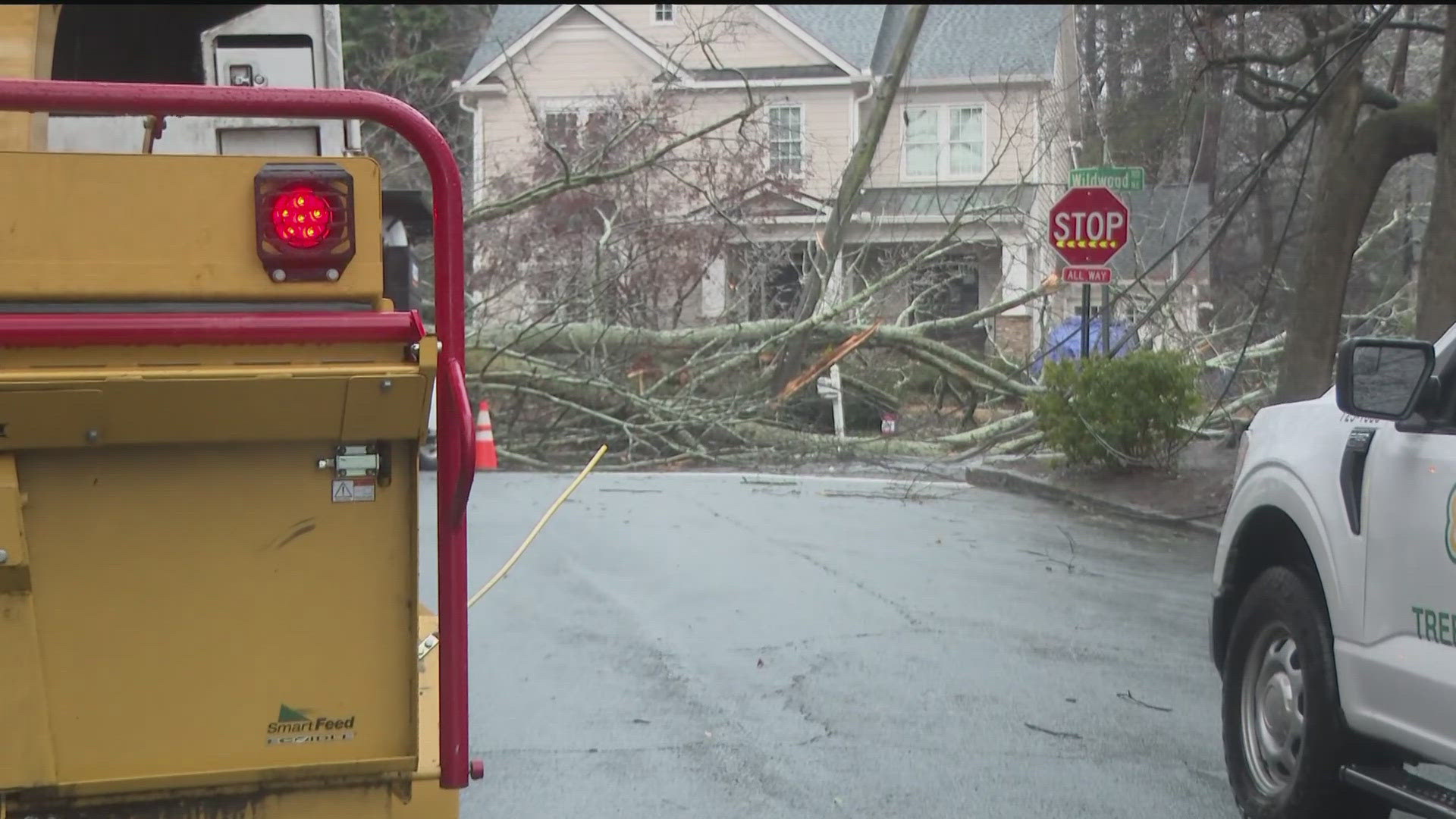 On the scene of a downed tree in Morningside