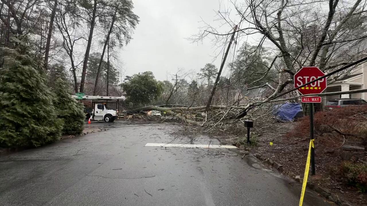 Massive ice-covered tree falls on man’s car in Northeast Atlanta