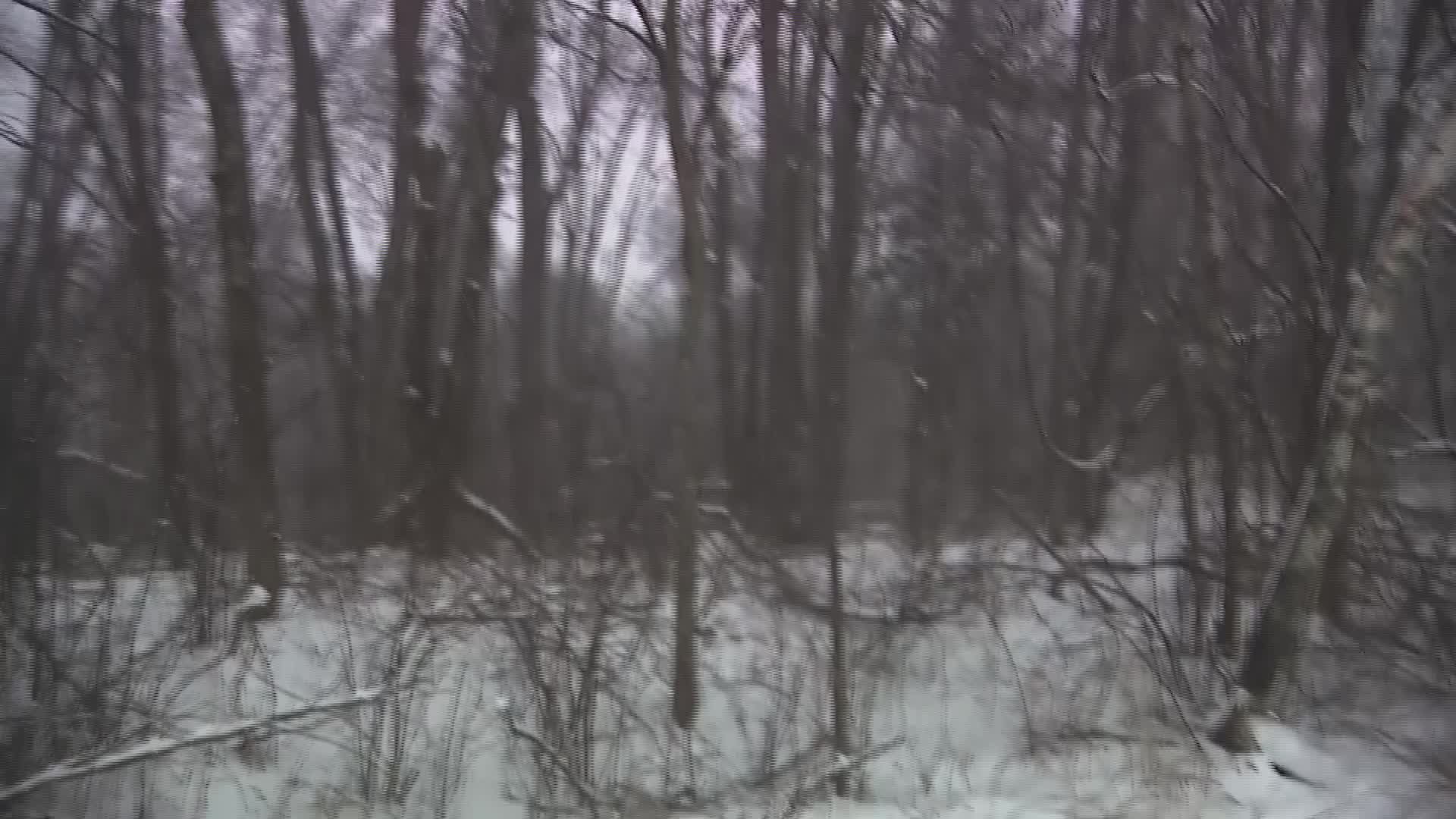 12 News Now: Snowstorm update Sunday, 4:00pm