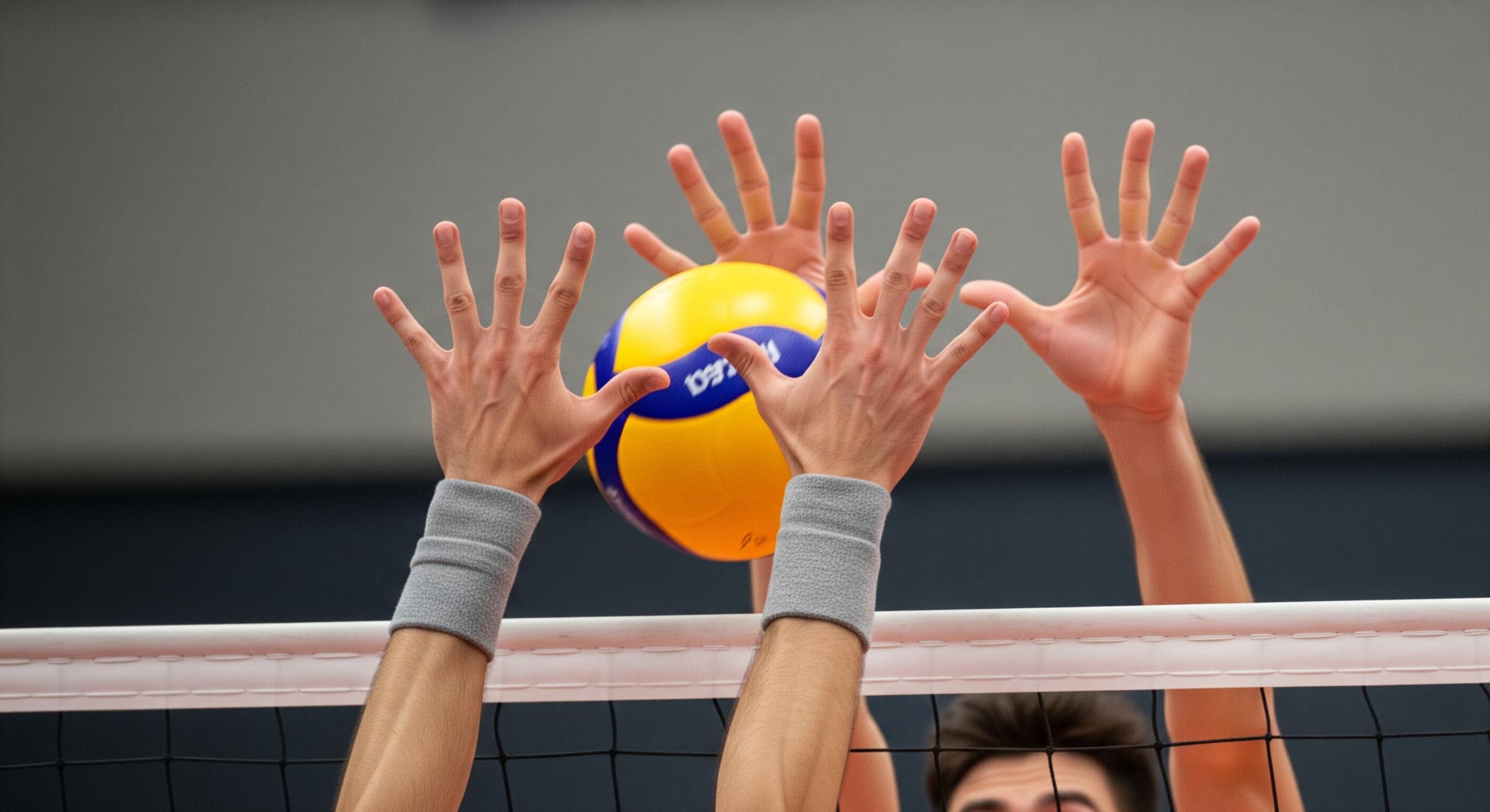 Ekstraklasa siatkarzy: Jastrzębski Węgiel pokonuje lidera. Co ...