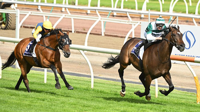 Race-by-race preview and tips for Warwick Farm on Monday