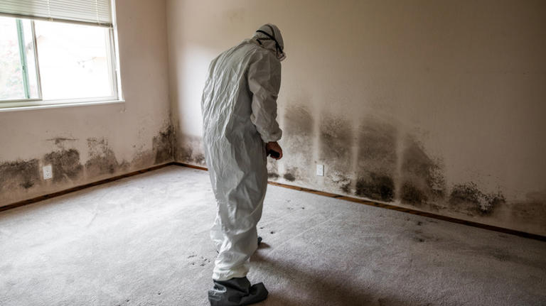 Mold damage: Will your homeowners insurance cover it?