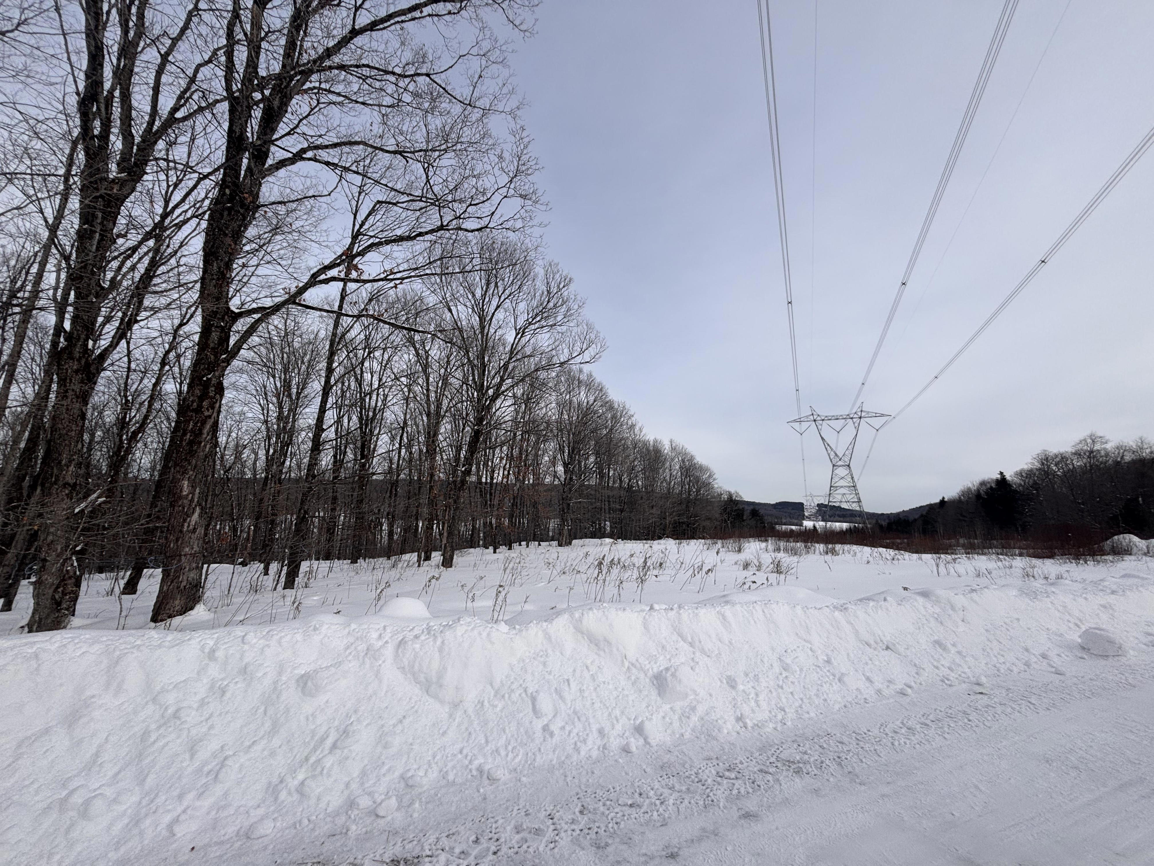 Érables menacés dans Portneuf : les producteurs veulent qu’Hydro-Québec ...