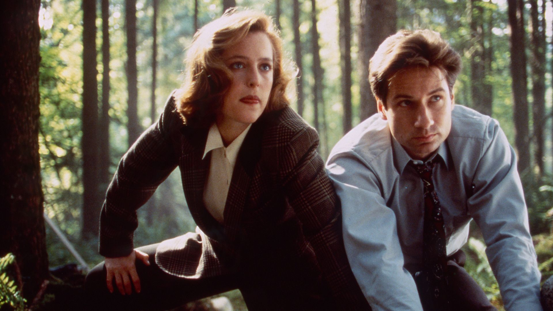 Sorry, but the X-Files is actually not a good show