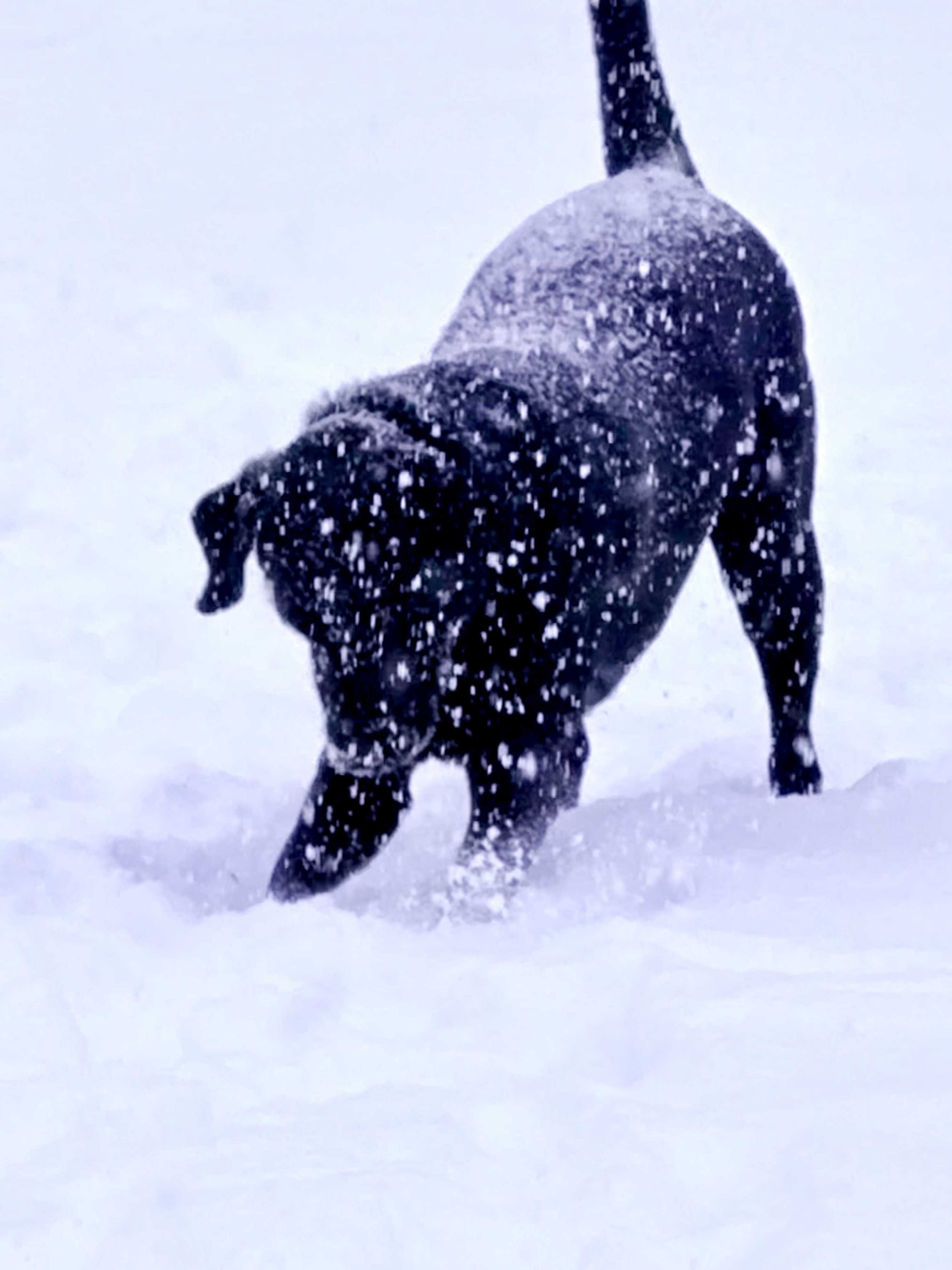 Snowfall reports | How much snow did we get?