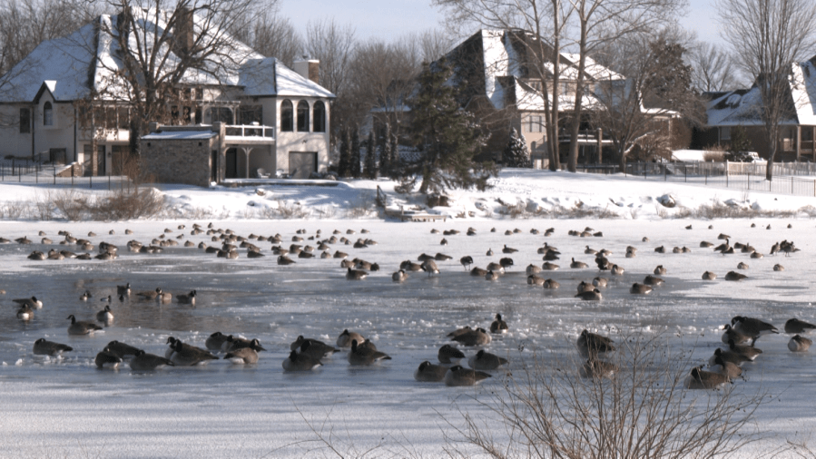 Think ahead: Ponds can be deceiving