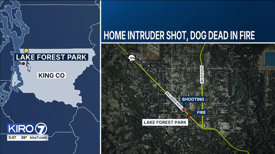 Video: Burglary suspect shot in Lake Forest Park