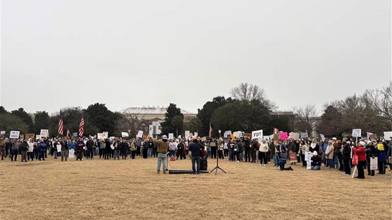 Lowcountry community unites for emergency protest following Minneapolis ...