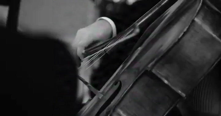 Apple CEO scrambles to save face after partying with Melania