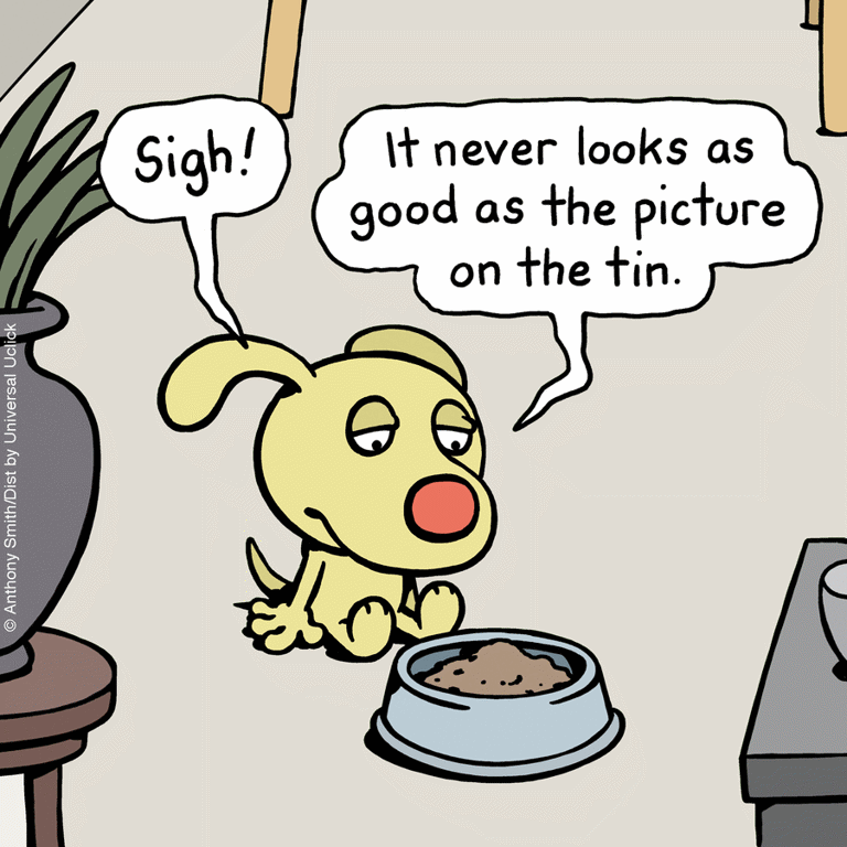 Artist makes 29 hilarious one-panel comics about a cute dog and his ...