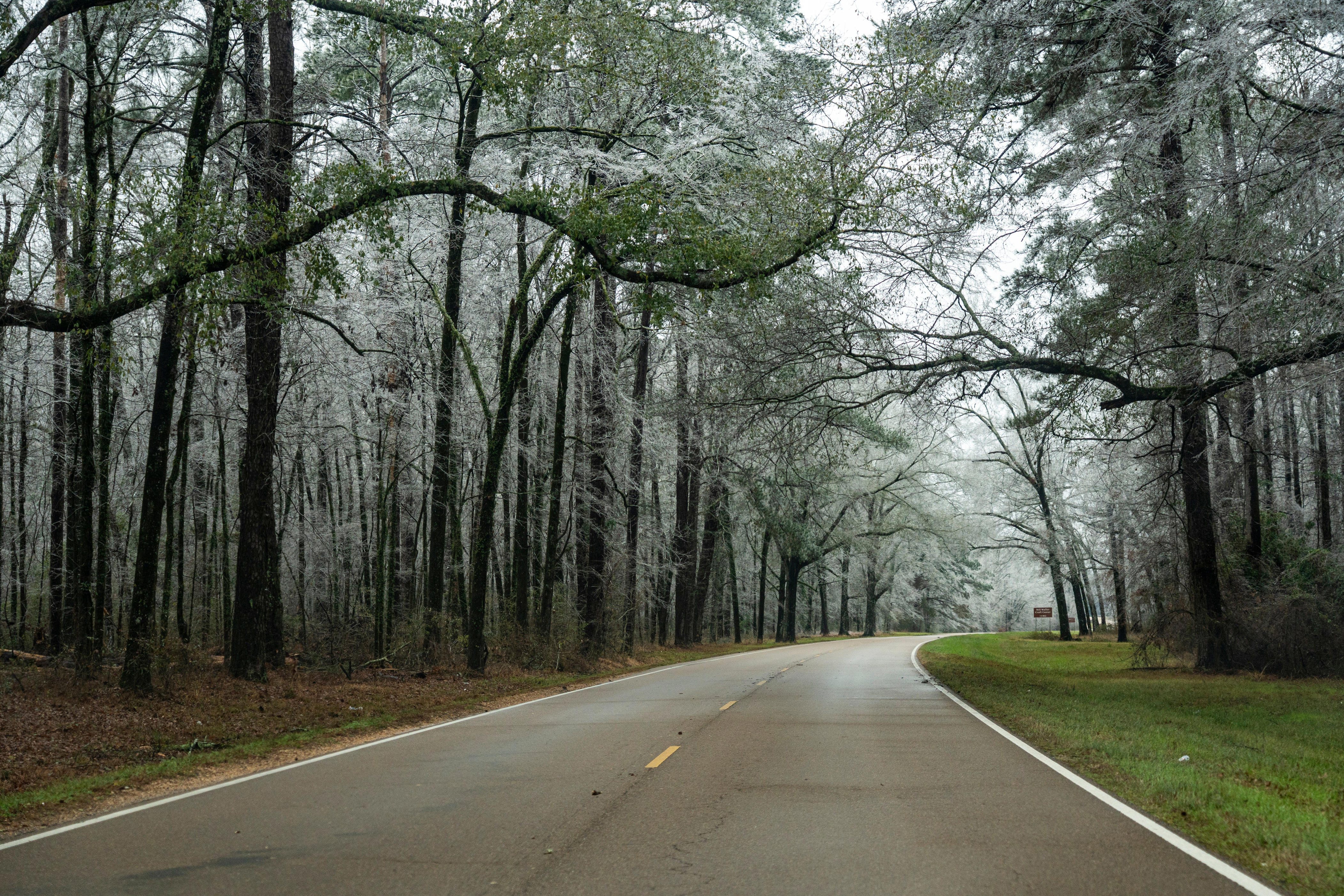 More than half of MS counties impacted by storm, governor says