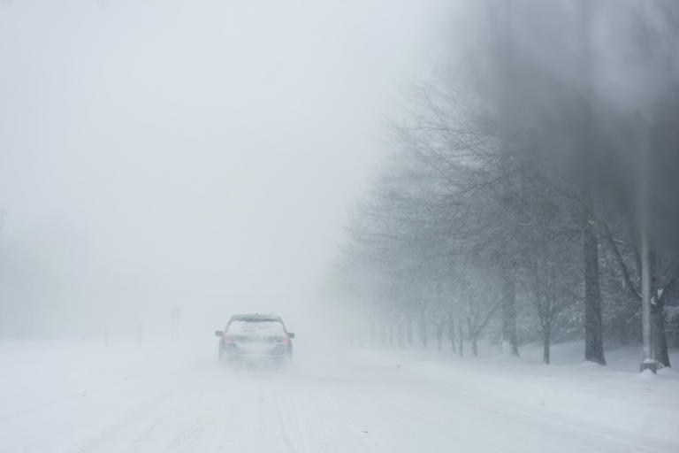 Photos: Winter of 2026 blizzard buries Long Island in snow