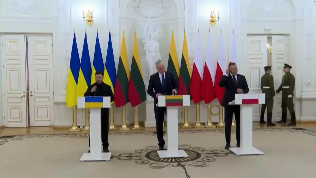 Zelenskyy meets Lithuanian president in Vilnius, comments on peace ...