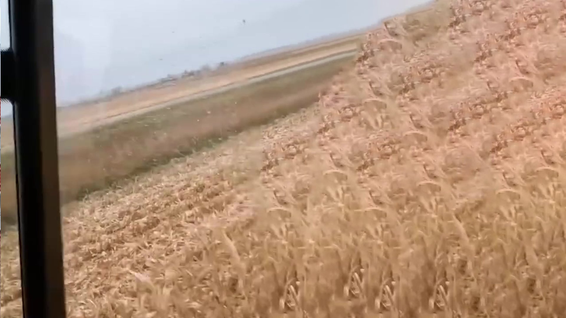 Blessed with a lemon, broke again