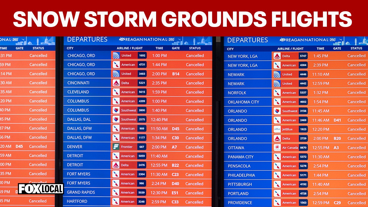 Snow storm grounds flights across the DC region
