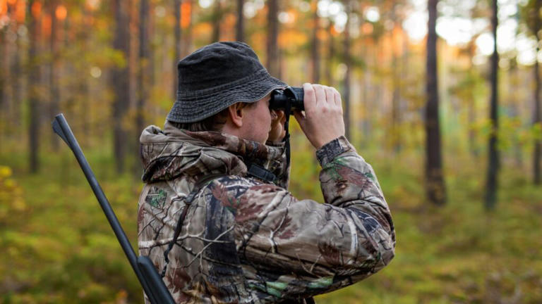 Does the moon really matter when hunting deer? Here is how phases can ...