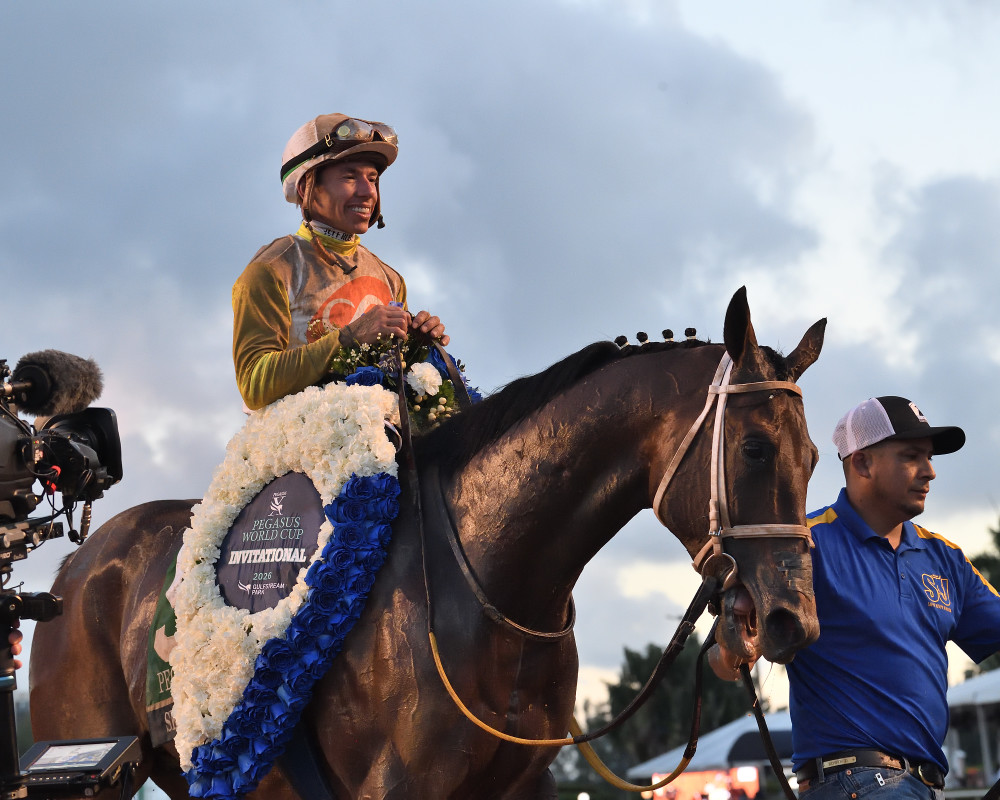 'People were always knocking him': Skippylongstocking finally achieves ...