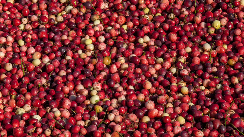 The US state that produces the most cranberries is far above the rest