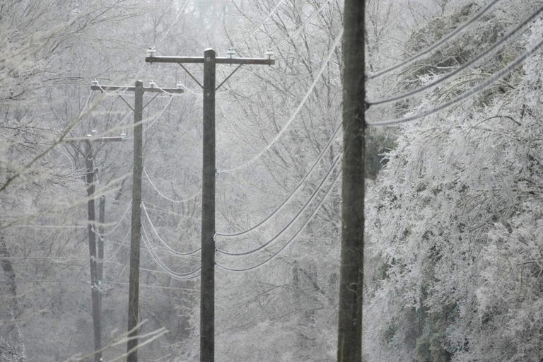 Winter storm Fern rages across US, canceling near-record flights — and ...