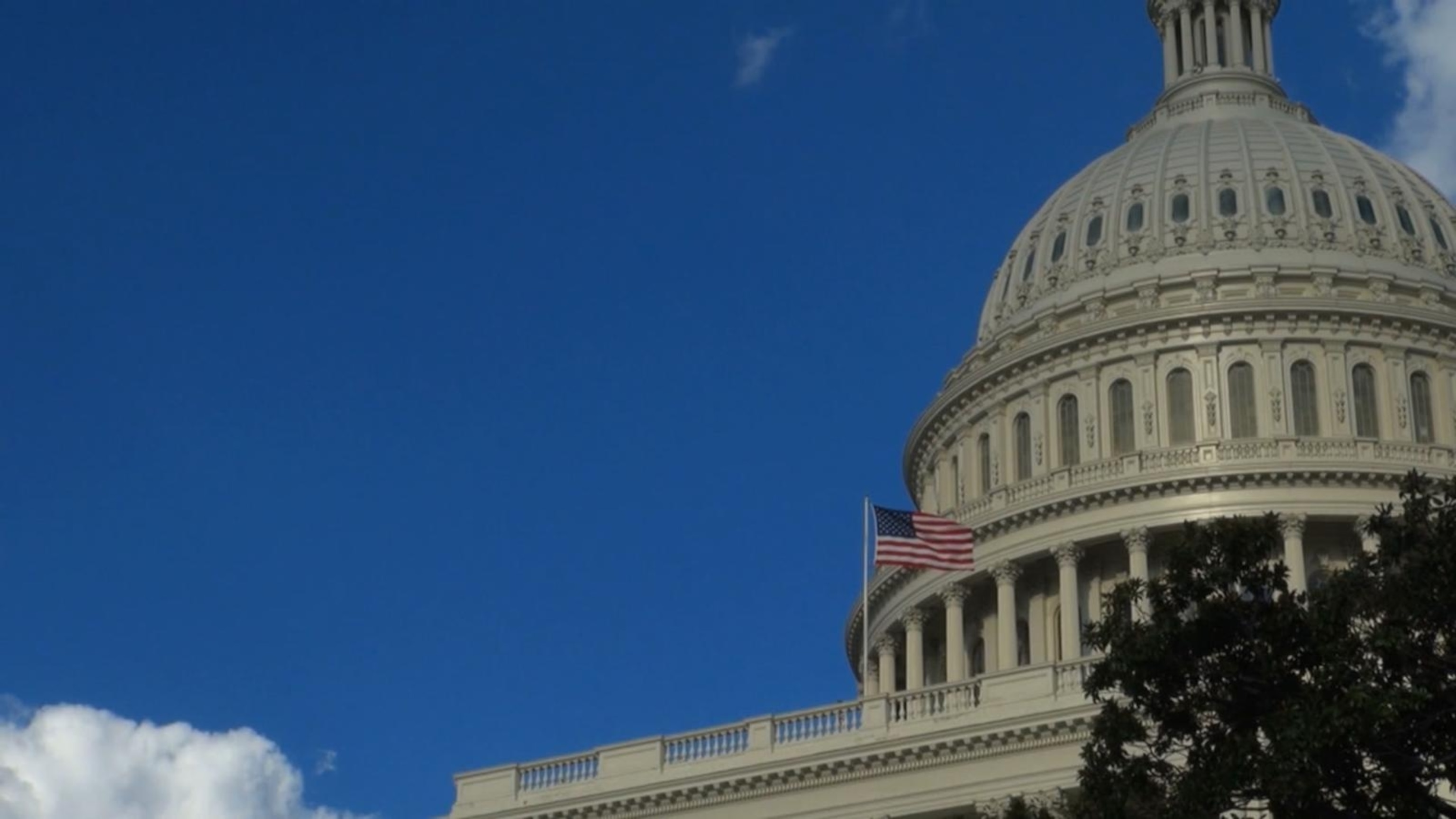 White House labels Minneapolis shooting victim a 'would-be assassin'