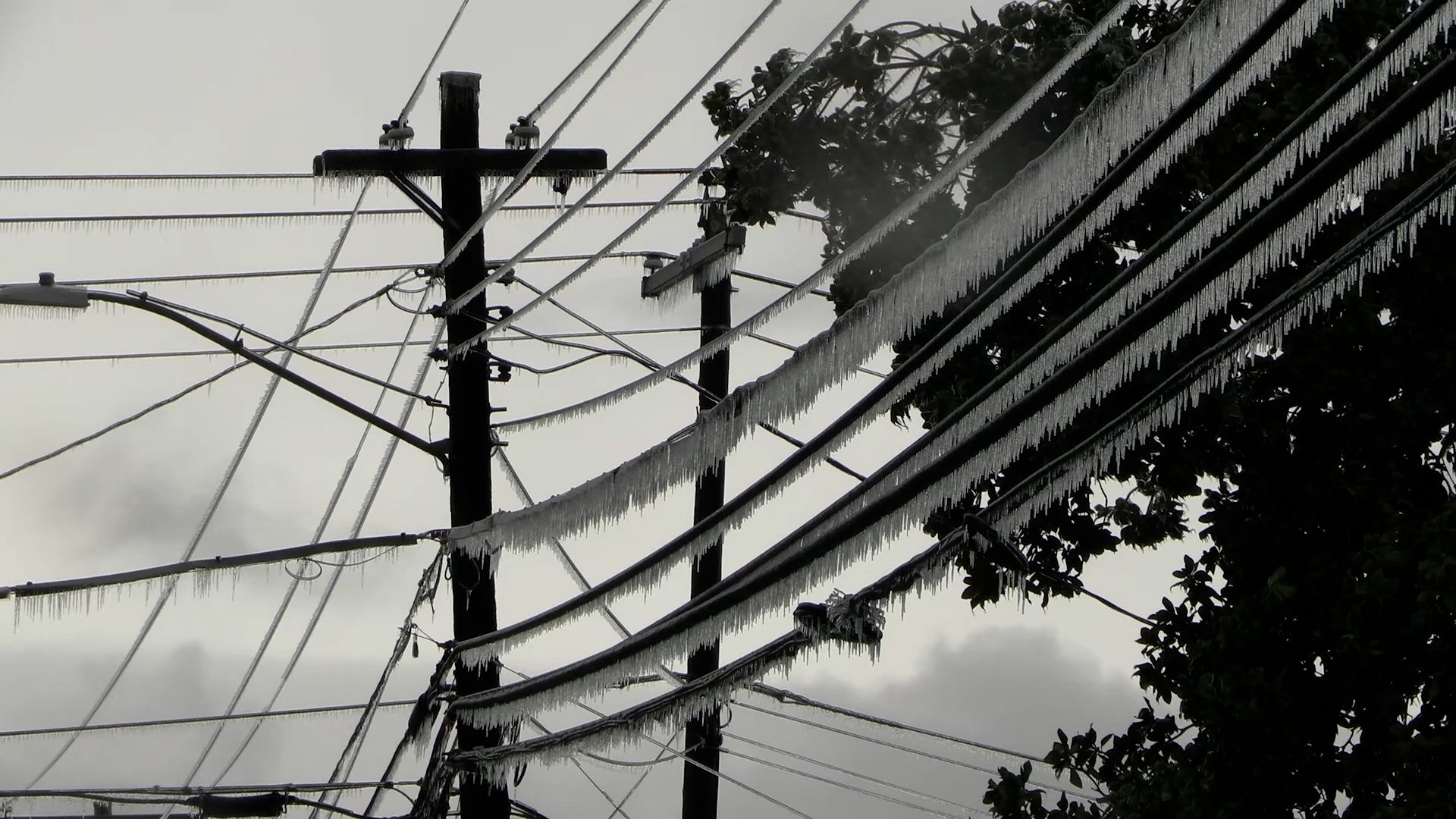Winter storm Fern shuts down Mississippi city with ice