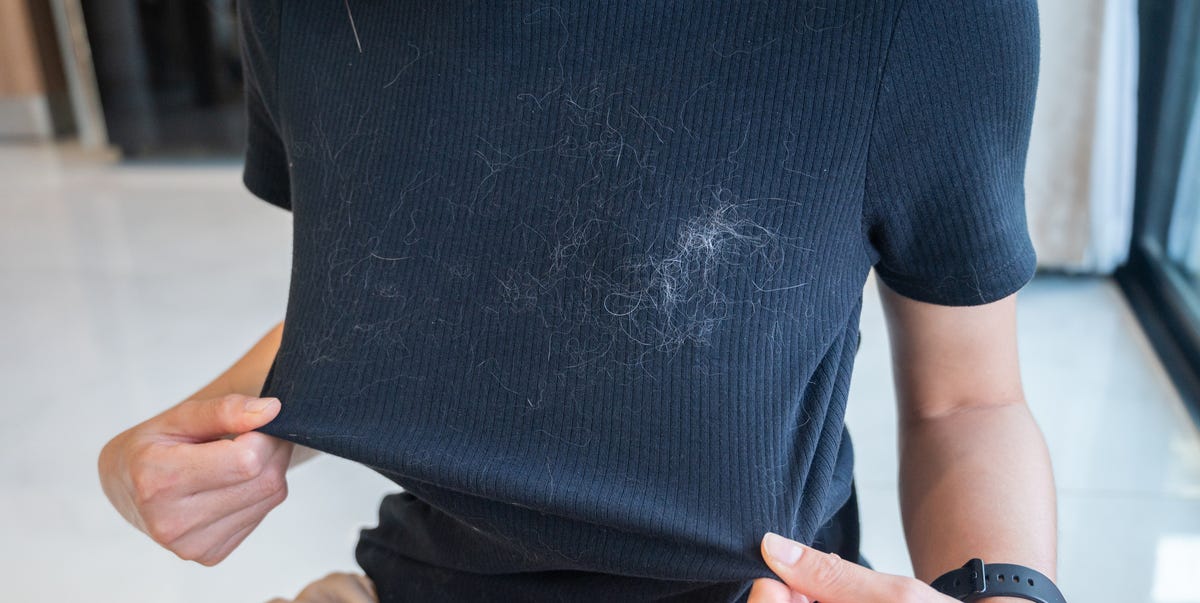 This is the best way to remove pet hair from clothes
