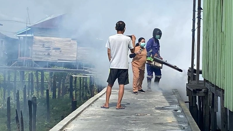 Satu warga terindikasi DBD, Dinkes Palangka Raya lakukan fogging di ...