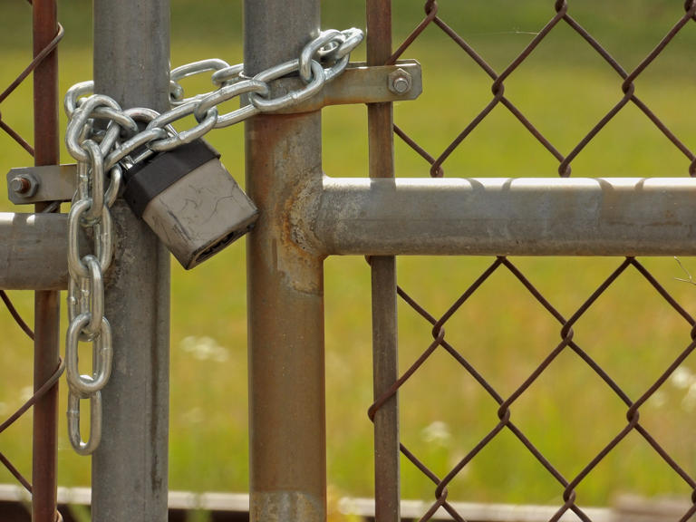 People are sharing the most bonkers things they've ever witnessed with ...