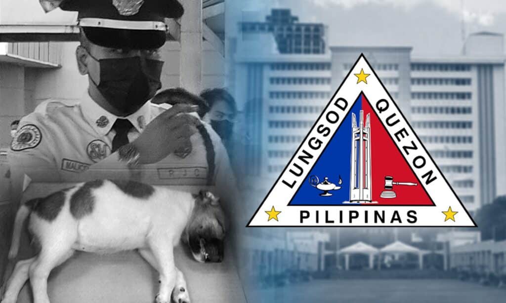 Animal protection a global concern, QC court asserts in case ruling