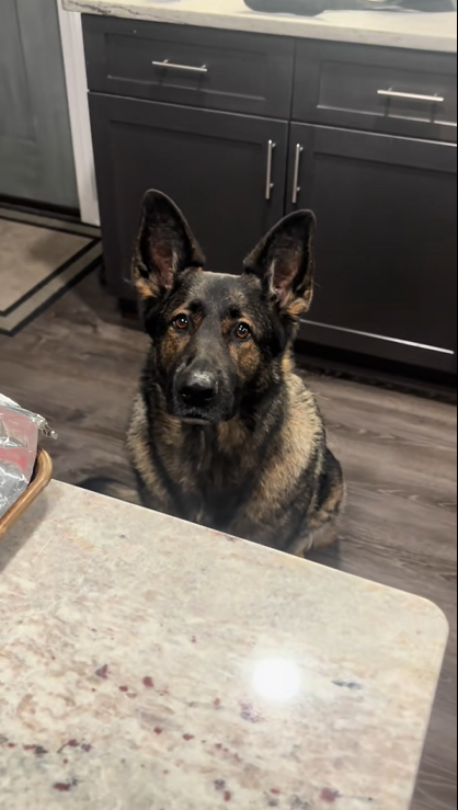 Security Be Crazy These Days