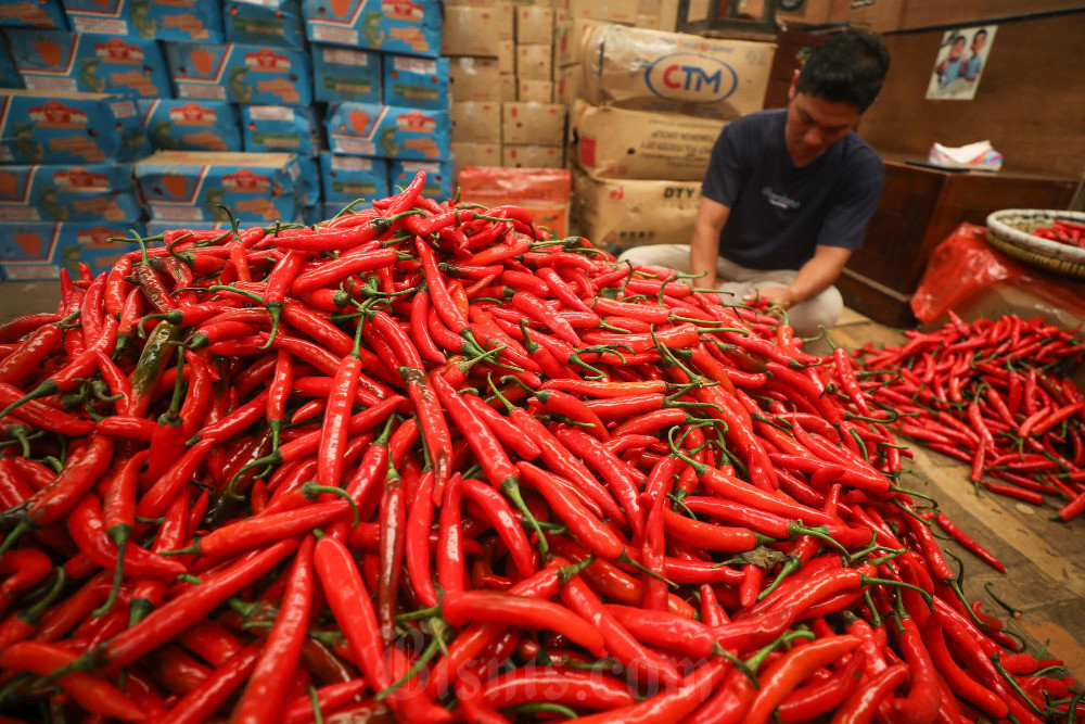 Harga pangan hari ini 26 Januari: Harga beras, cabai, telur kompak turun