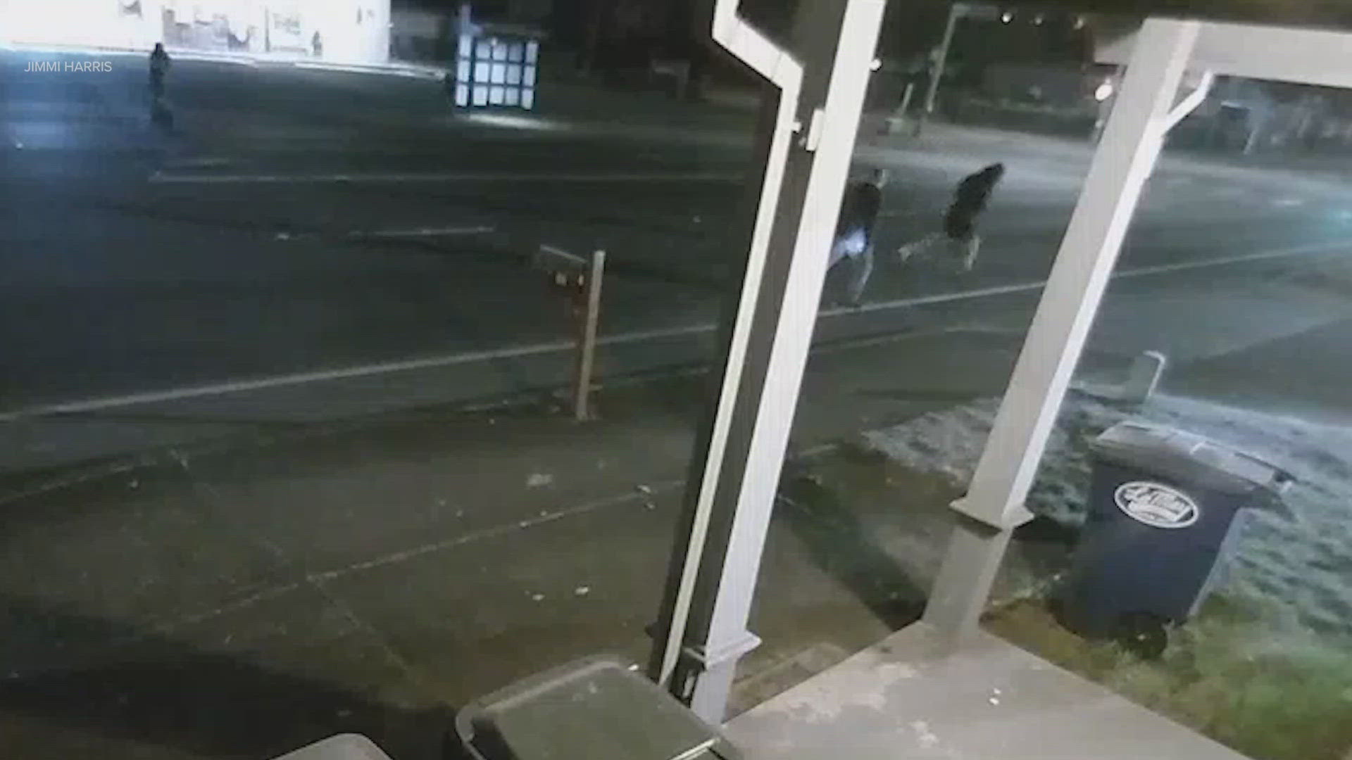 Suspect shot by Pierce County sheriff's deputies after allegedly ...