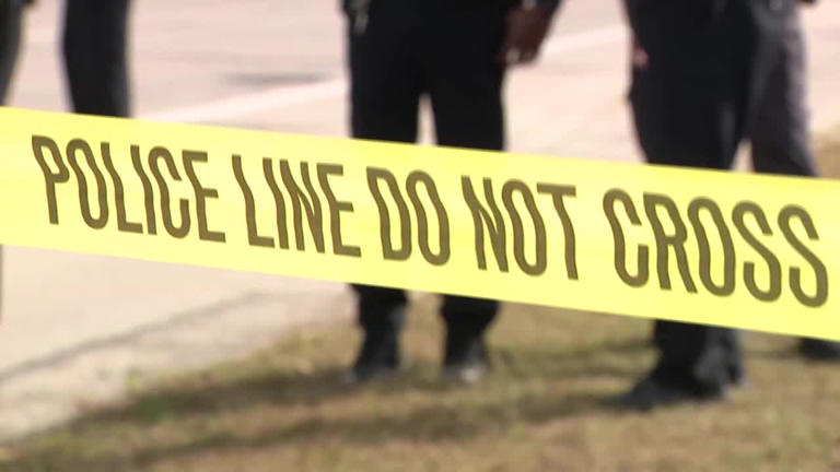 Milwaukee police chief faces criticism over training trip to Israel