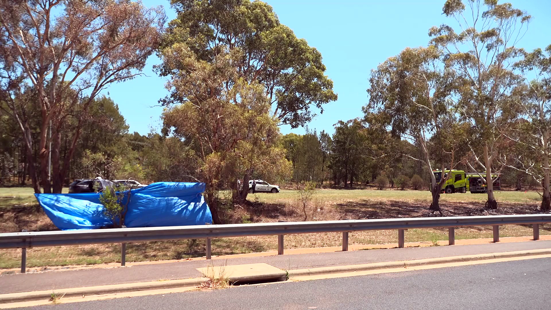 Woman killed as car crashes into tree on Canberra's Yamba Drive
