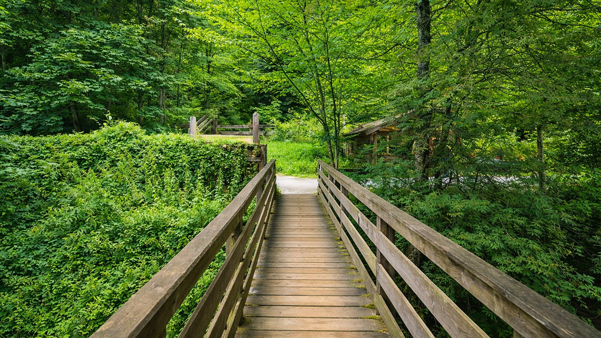 Seisenbergklamm Austria scenic gorge walk in Salzburg (4K)