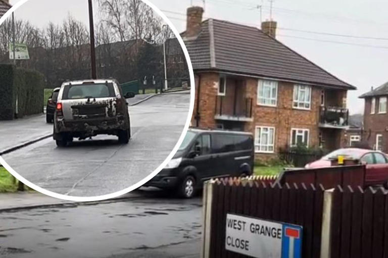 'Belle Isle is full of dangerous dogs, druggies and joyriders - I never ...