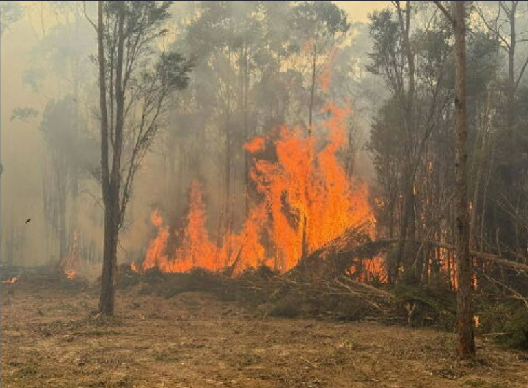 PM, premier announce extra $160m for bushfire-affected communities in ...