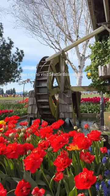 Your Sign to Visit Seattle Waterfront Dining Views