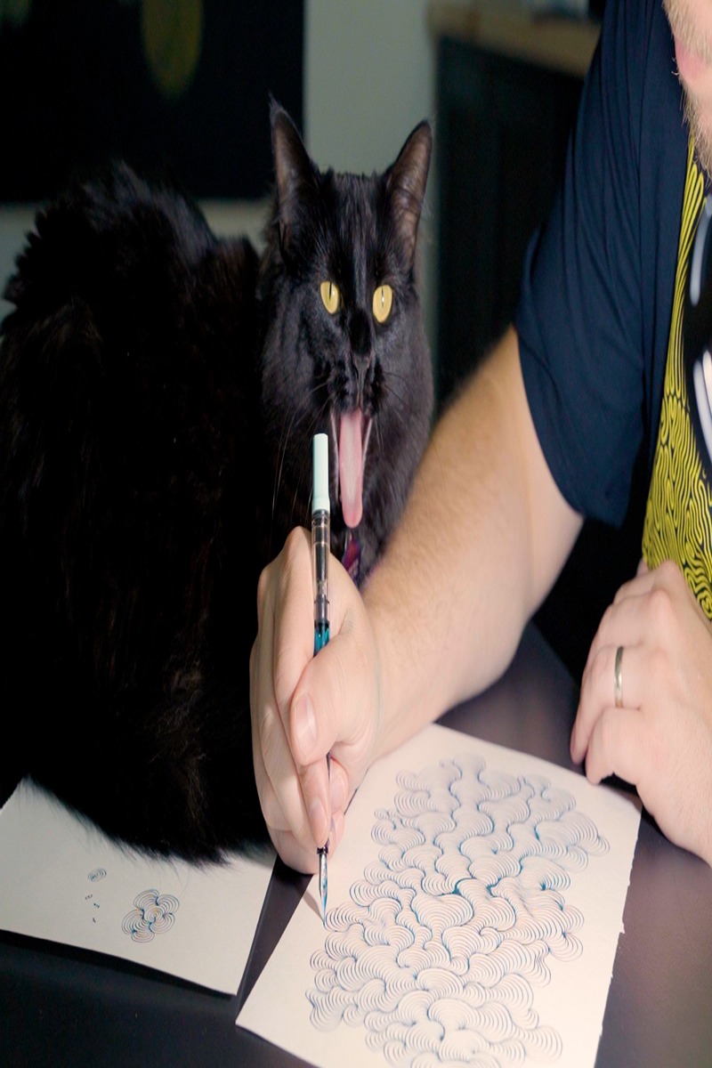 The art of one line drawing