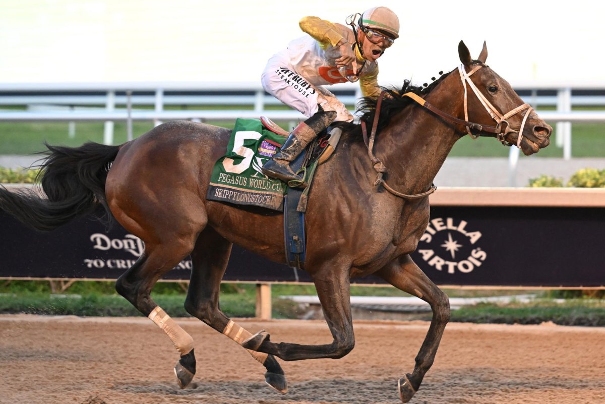 Old guys rule in $3 million Pegasus Word Cup