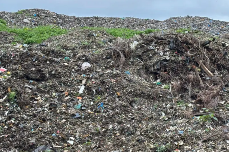 Owner of one of England's biggest illegal waste disposal sites died ...