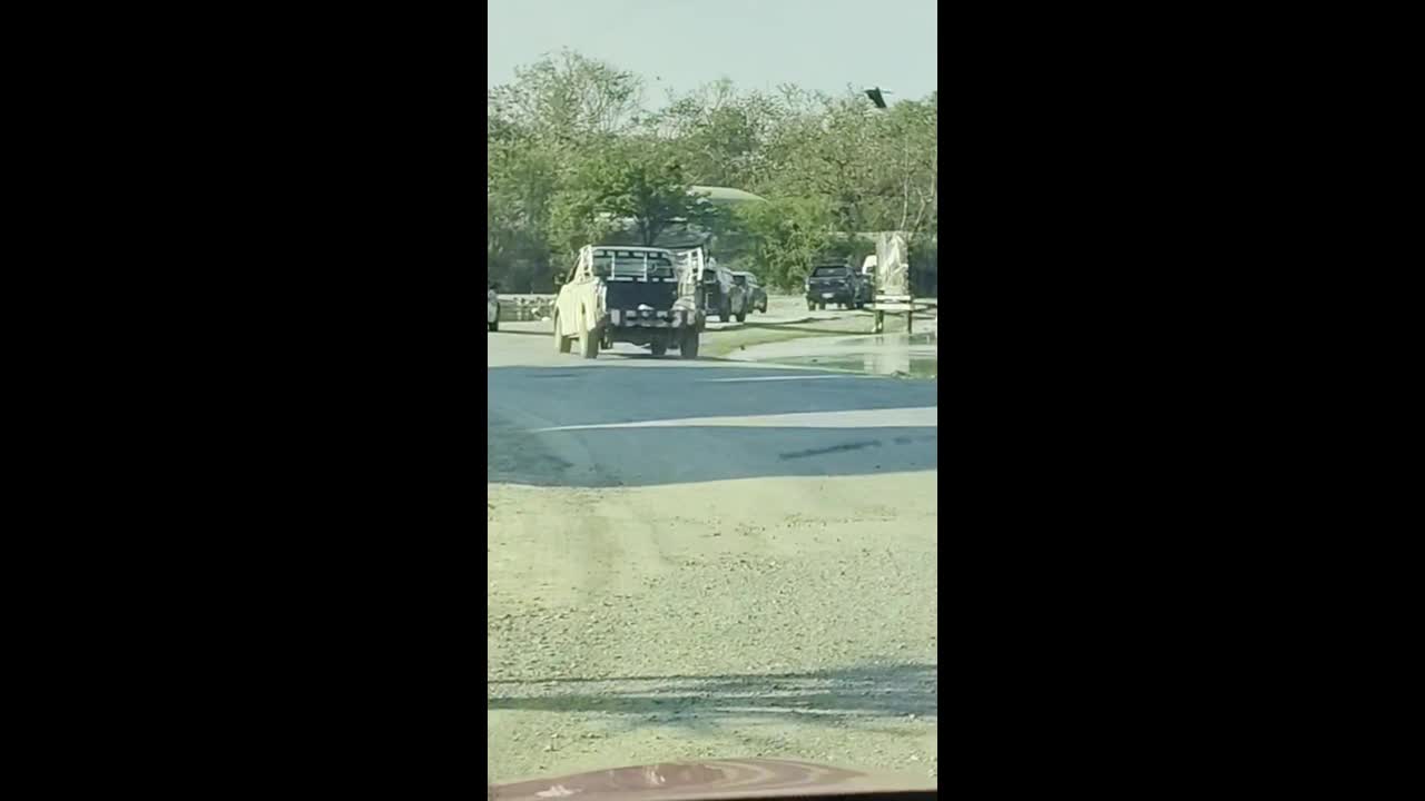 Children sit on family's car roof in safari park where lions ate keeper