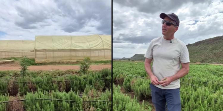 Israeli investor turns 520 acres in Nakuru into dream agri-residential ...