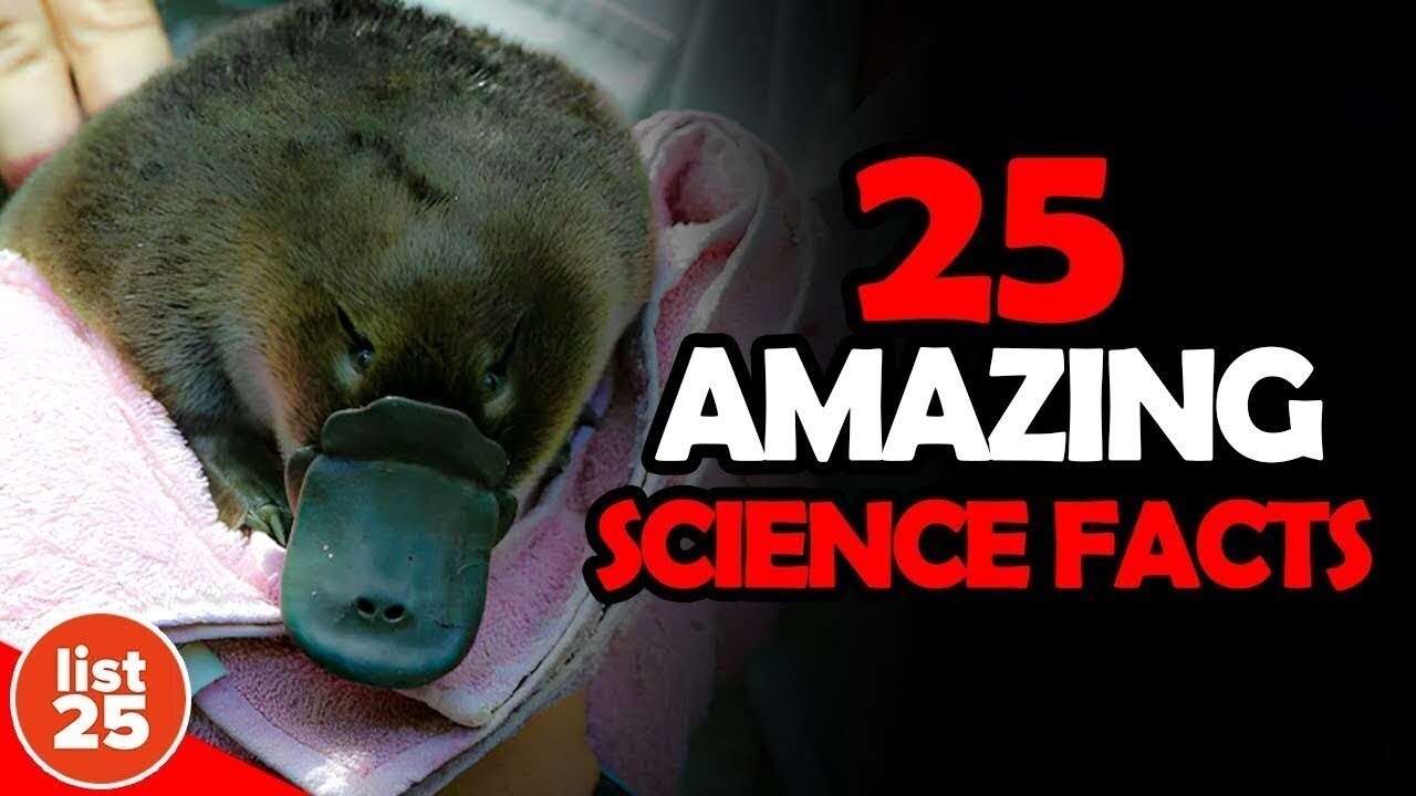 25 amazing science facts that are weird, wild, and true