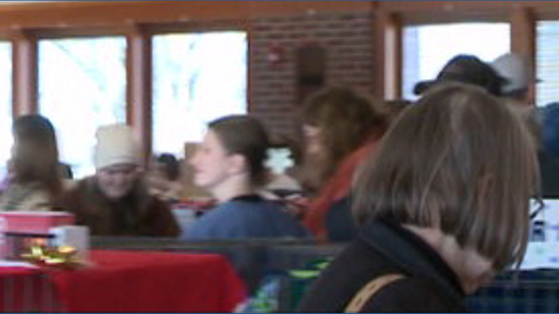 Smitten Kitten Cat Show held in Windsor Heights