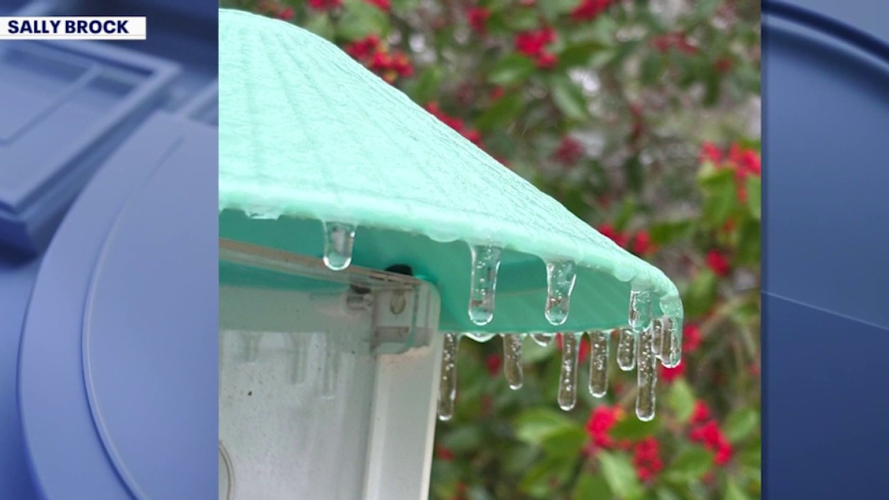 Hiram bird feeders transform into icy winter sculptures