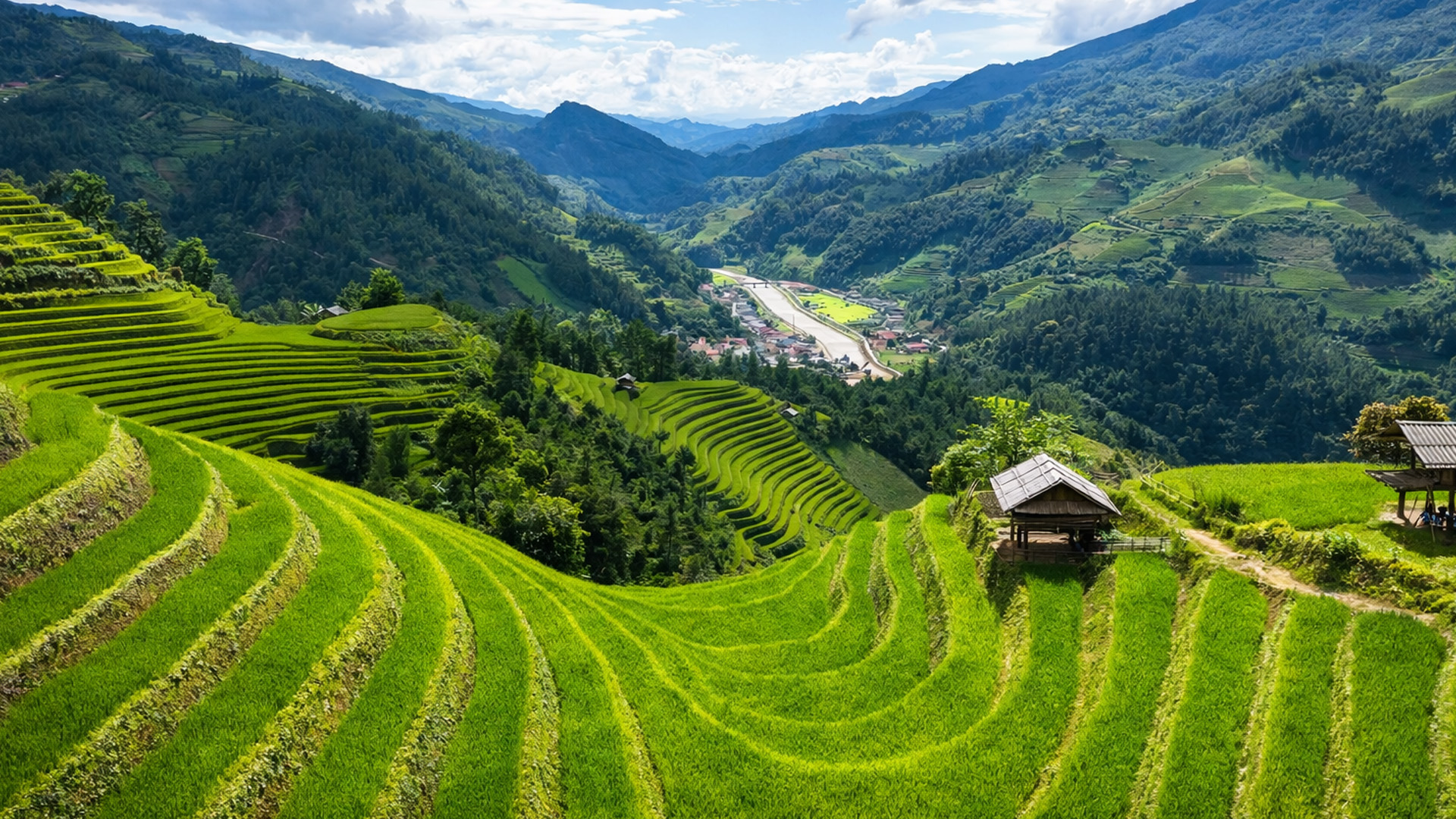 How long did it take to shape this?